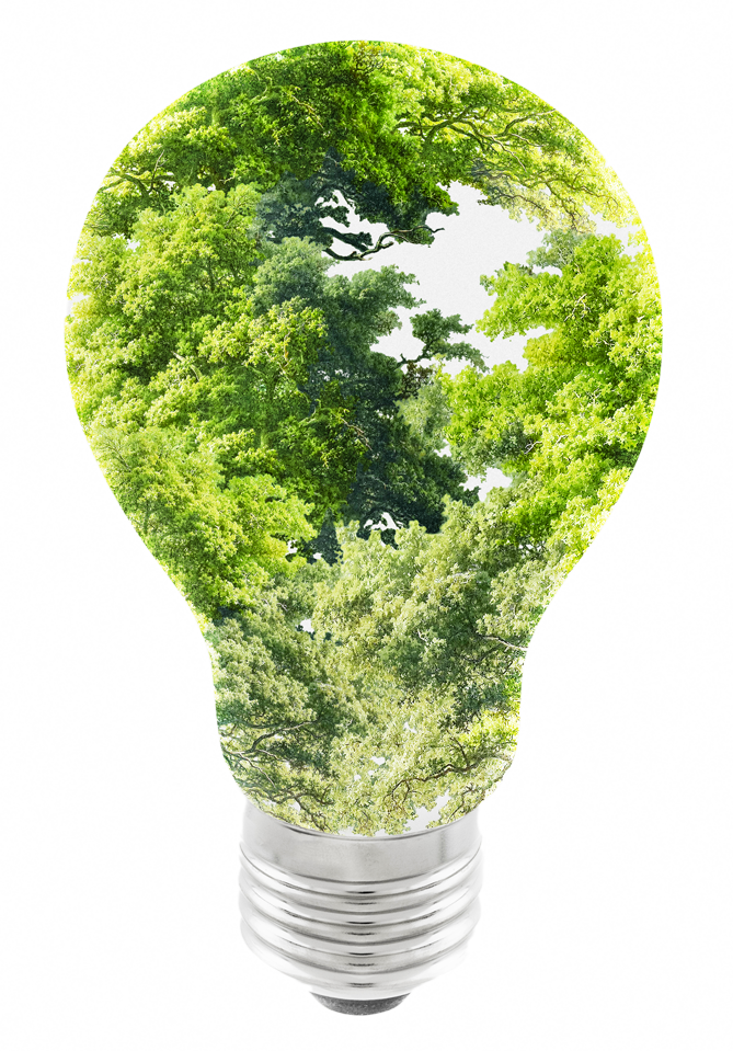 QTC ENERGY
